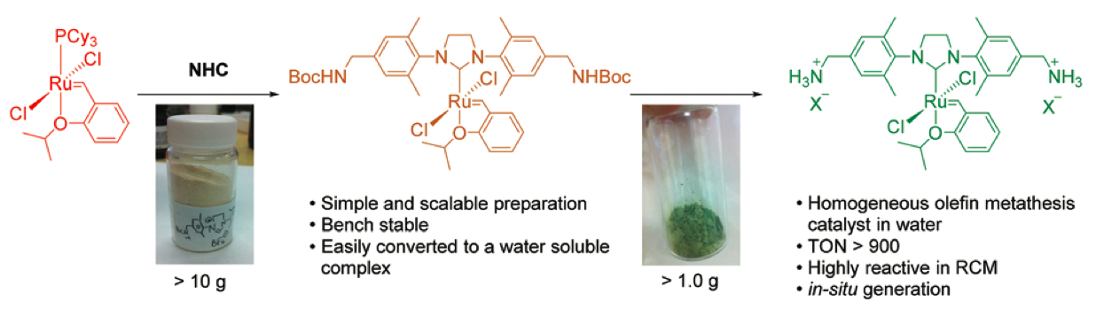 A Simple and Practical Preparation of an Efficient Water Soluble Olefin ...
